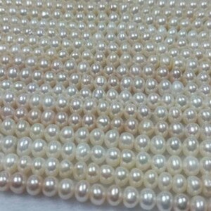 5MM Freshwater Cultured Button Shape Pearl .natural Freshwater Pearl ...