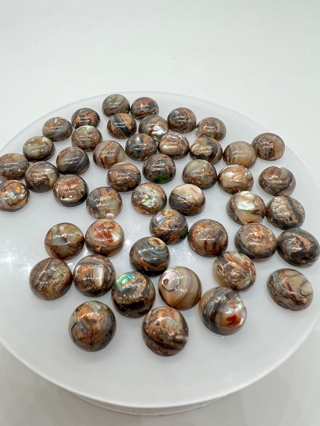 Abalone Copper 10MM Shell Cabs, Pack of 5 Pieces, Round Cabochon for ...