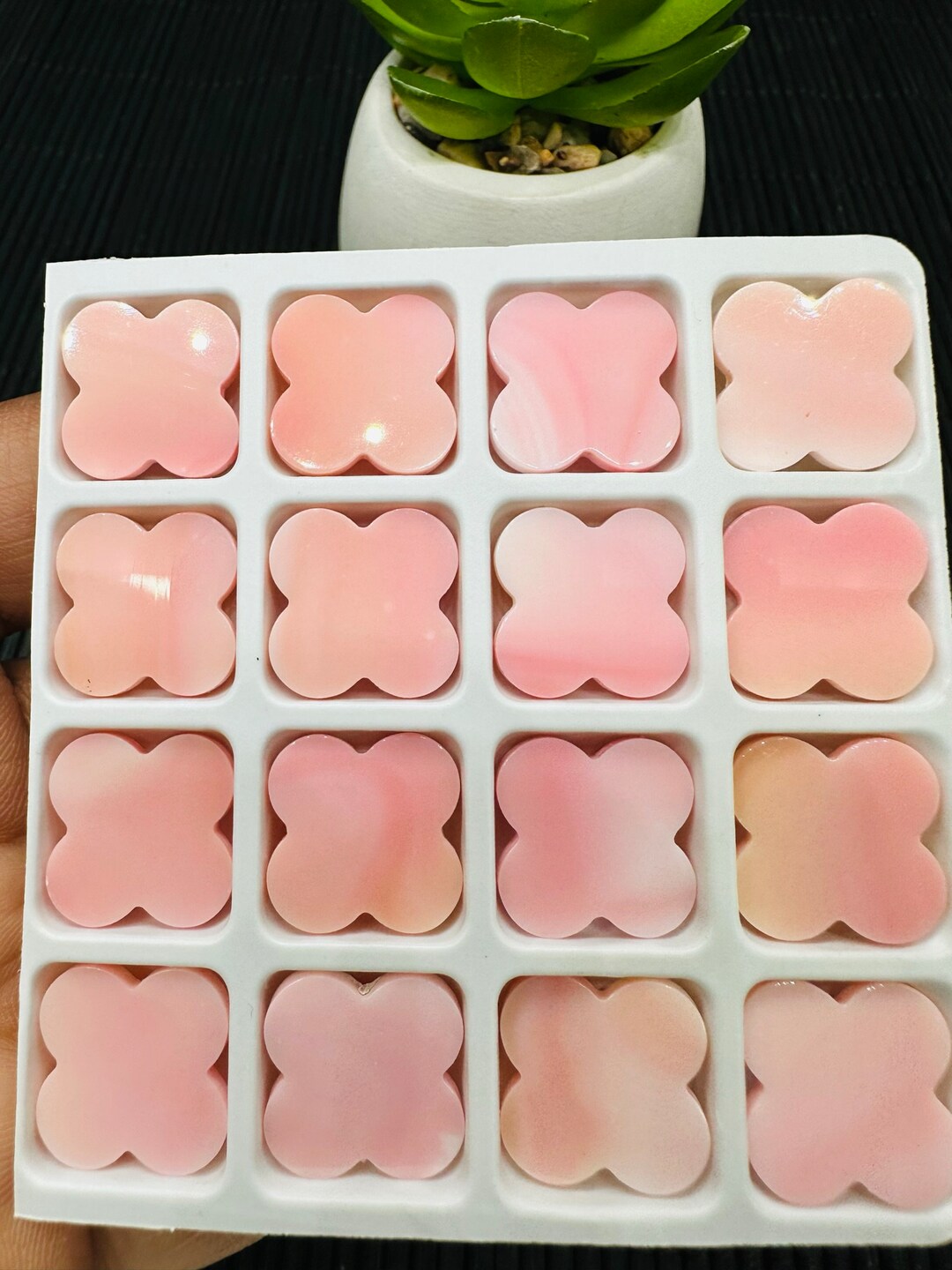 Queen Conch Shell Flower Cabs • 18x20 Mm Size • Pack of 2 Pcs • AAA ...