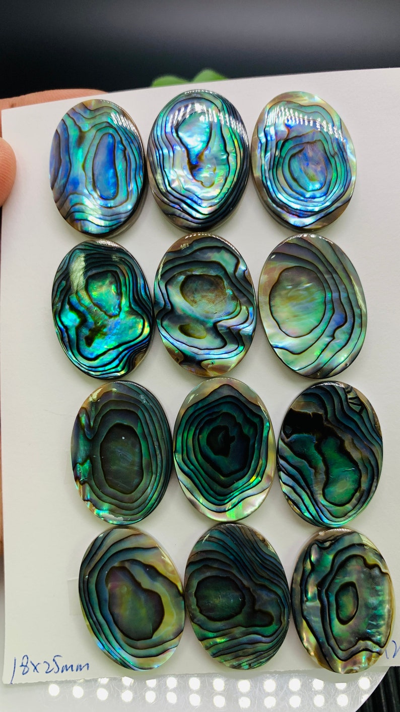 Abalone Shell Oval Cabs- 18x25 Mm Size- Pack of 1 Pc- AAAA Quality ...