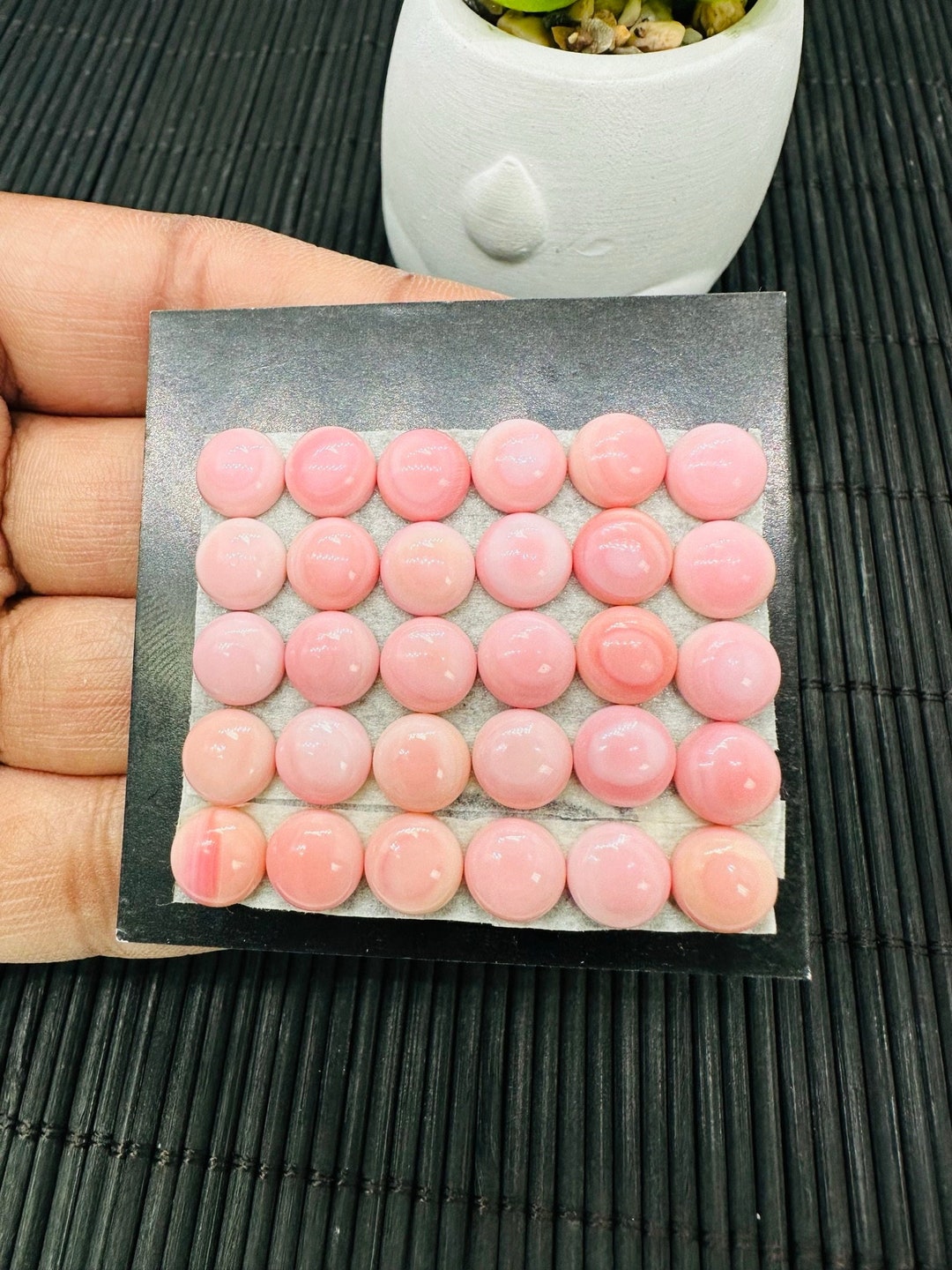 Queen Conch Shell Round Cabs • 8 Mm Size • Pack of 4 Pcs • AAA Quality ...