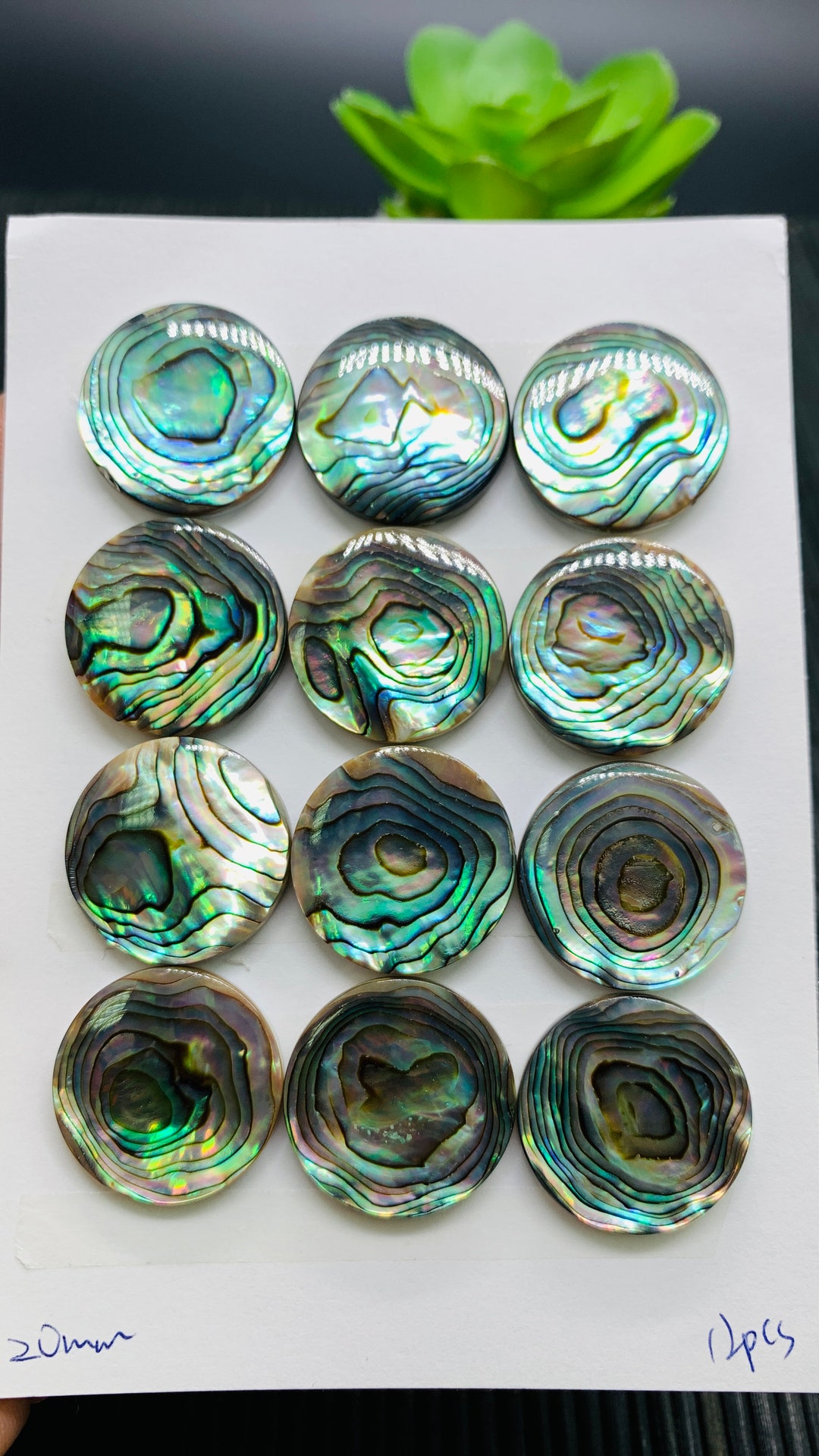 Abalone Shell Round Cabs- 20 Mm Size- Pack of 1 Pc- AAAA Quality ...