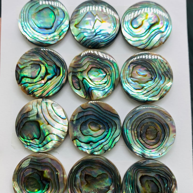 Abalone Cabochons - Etsy