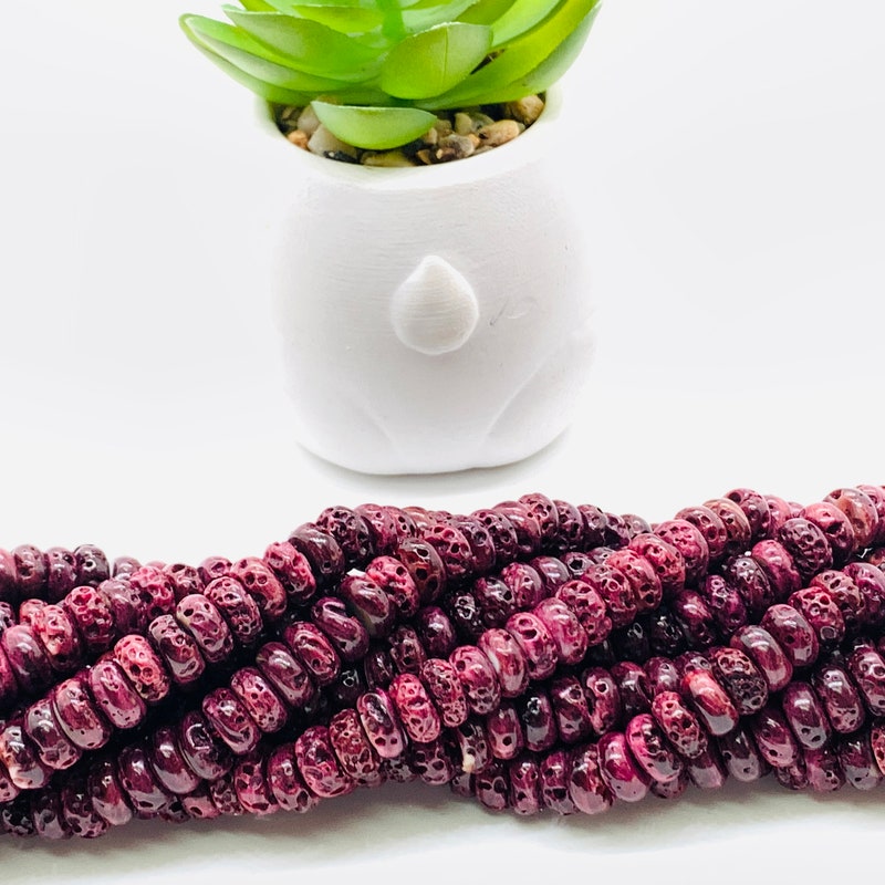 Mexico Spiny Oyster Shell - Etsy