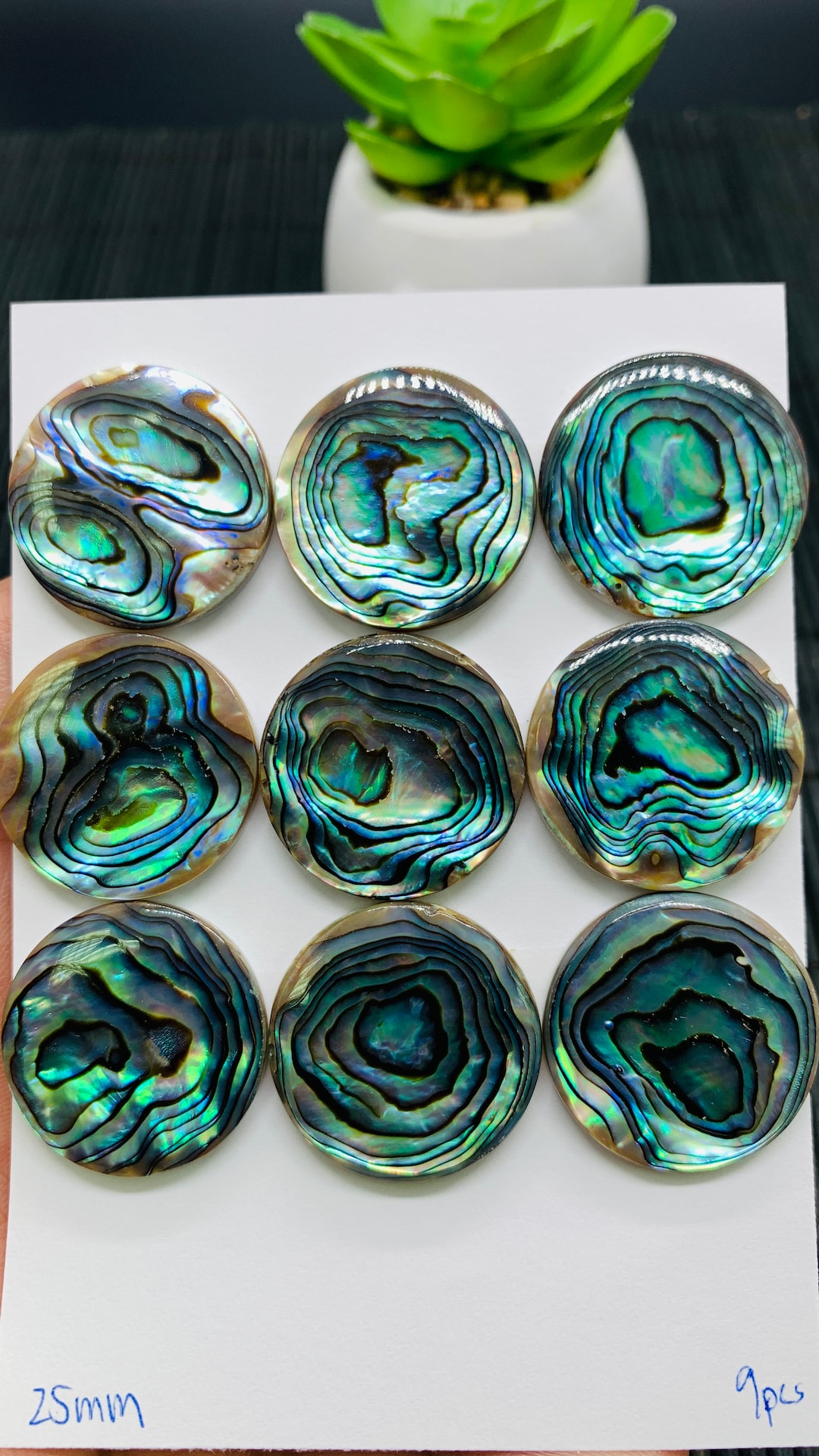 Abalone Shell Round Cabs- 25 Mm Size- Pack of 1 Pc- AAAA Quality ...