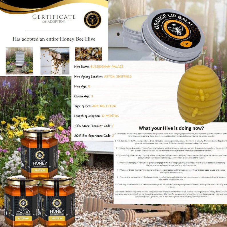Adopt a Hive - Nurturing the Buzz of Nature's Guardians - Etsy UK