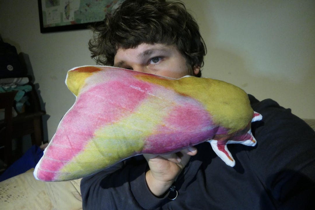 Moth Pillow: Rosy Maple Moth MALE (dryocampa Rubicunda) Soft Pillow by ...
