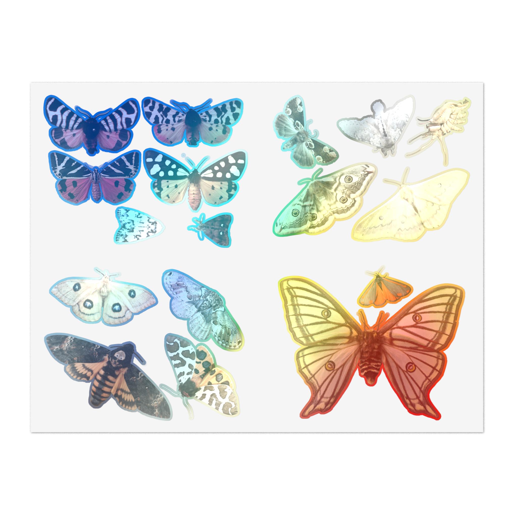 European Moths: Deluxe XL Sticker Sheet - Designed by Bart Coppens ...