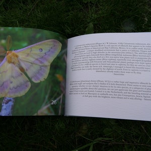 Butterfly & Moth BOOK! - A Lifetime of Moths: by Bart Coppens (volume 1 ...