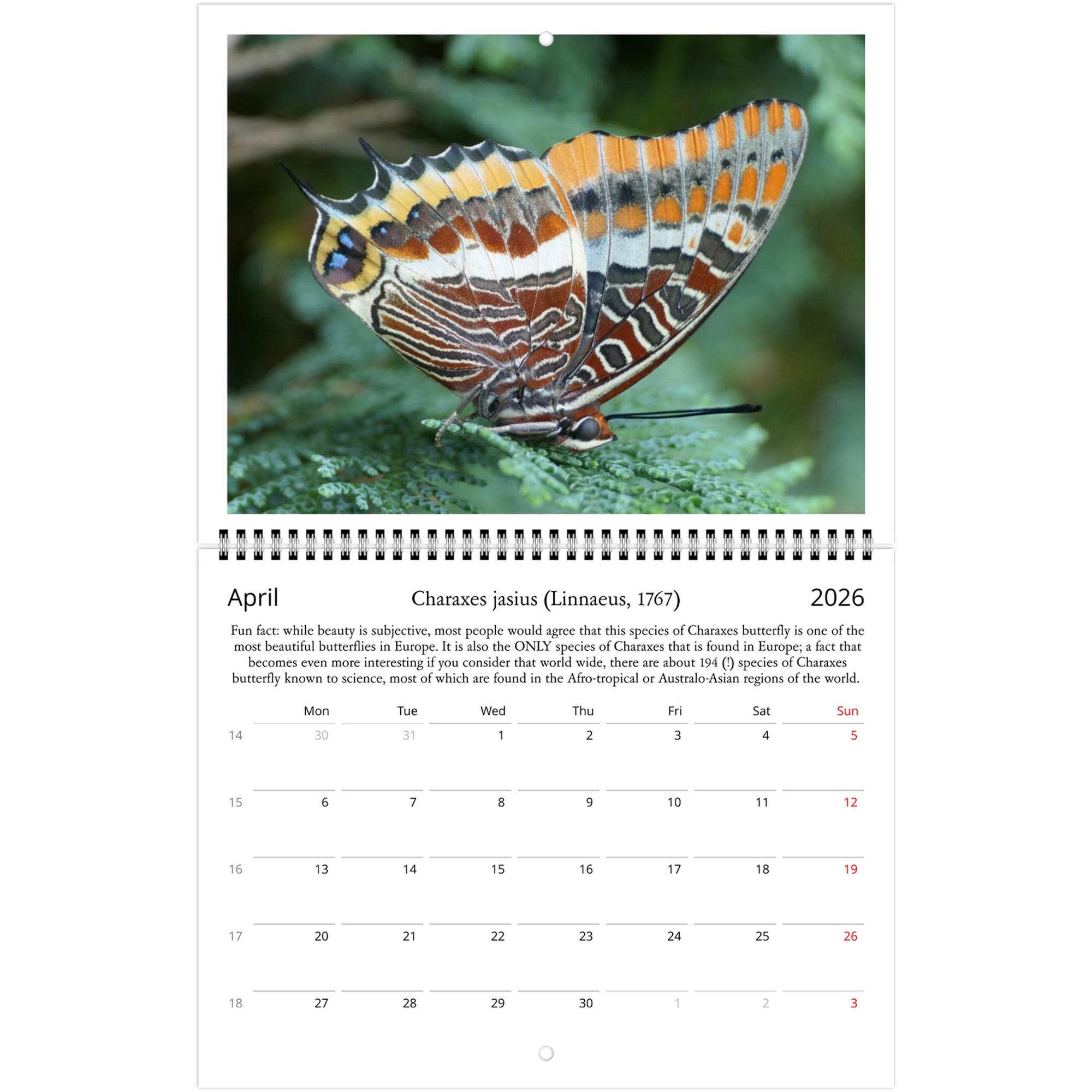 U.S.A and Canada Version of the Official MOTH (and BUTTERFLY) Calendar ...