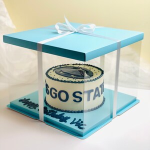 10 Sets Large Clear Cake Boxes 13l X 13w X 10h Big See Through Square ...