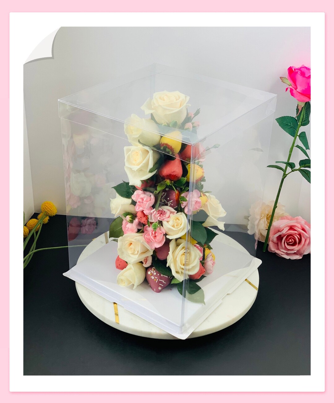 10 Sets Tall Clear Square Cake Boxes - 10"l X 10"w X 12"h - Extra Tall ...