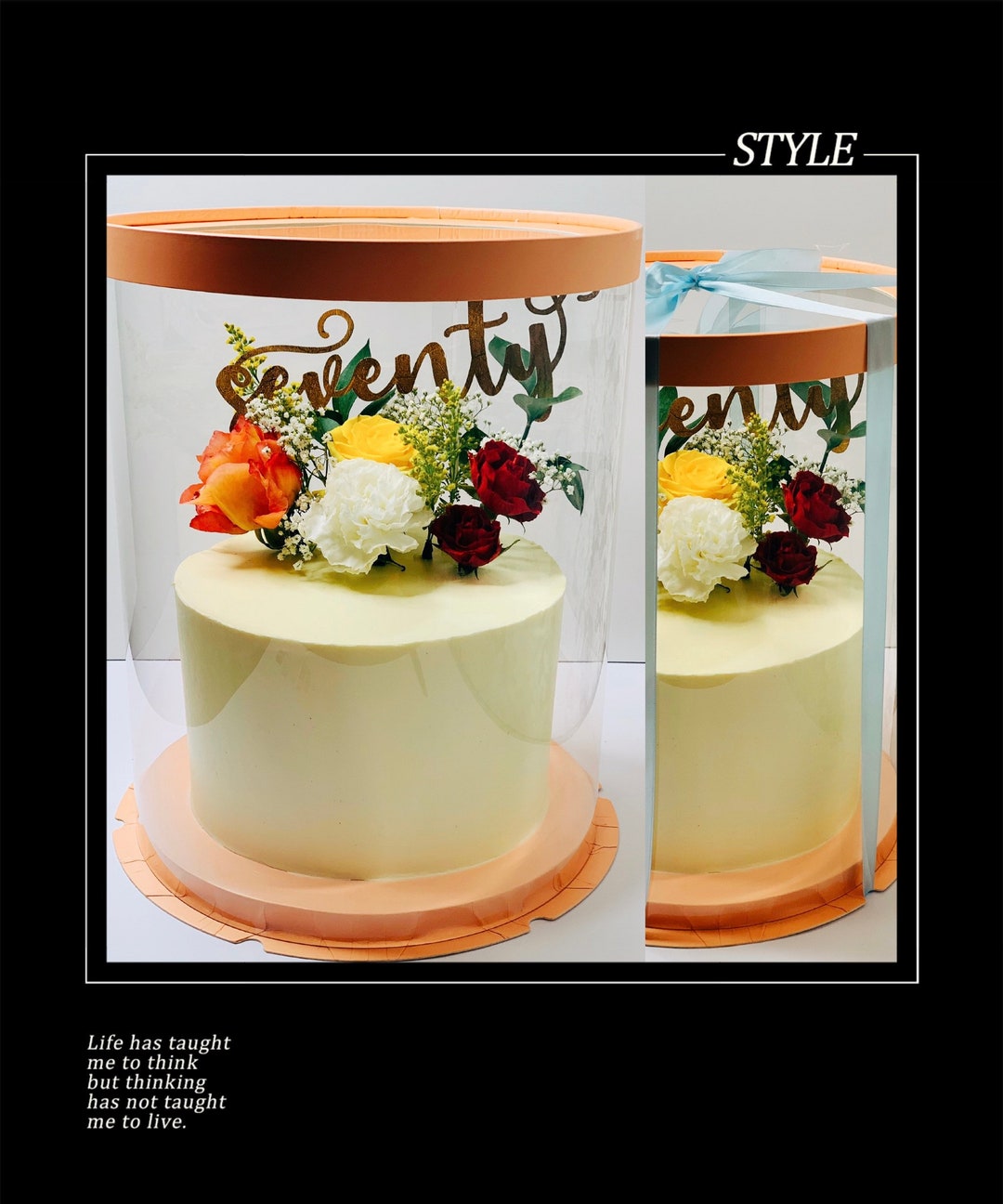 5 Sets Tall Clear Round Cake Boxes - 10" D by 12.5" Tall - Clear Cake ...