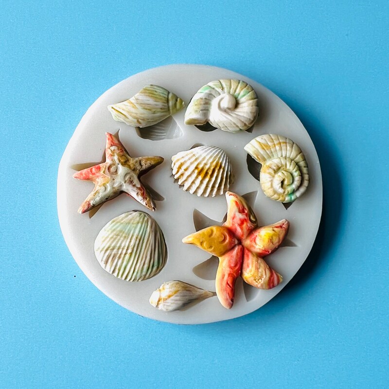 Sea Shell Mold - Etsy