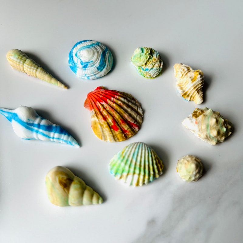 3d Seashell Silicone Mold - Etsy