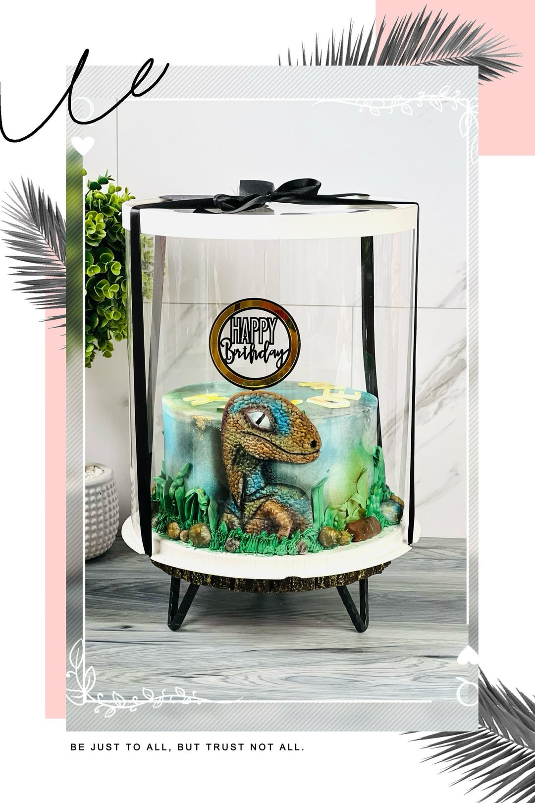 2 Sets White Round Tall Clear Cake Boxes - Clear Cake Box With Window ...