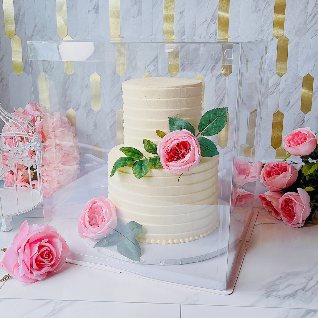 5 Sets 14l X 14w X 16h Extra Large and Tall Clear Cake Box With Free ...