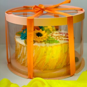 5 Sets Round Clear Cake Boxes - 8.5" D by 9" Tall - Transparent Clear ...