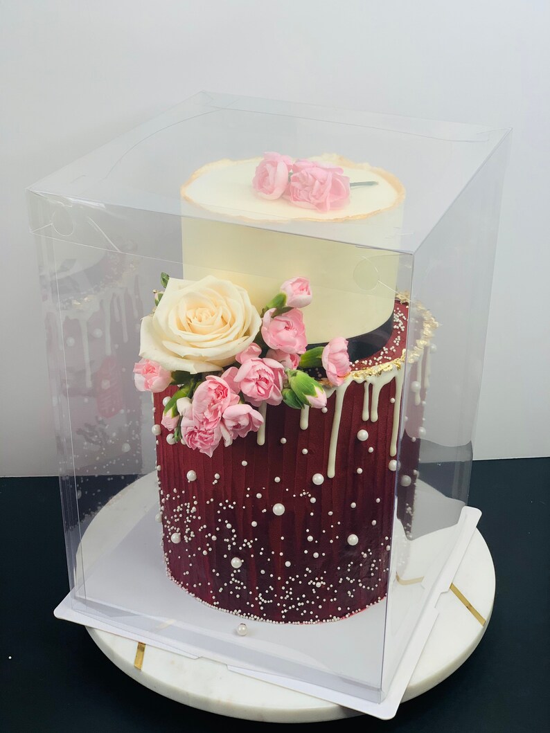 10 Sets Tall Clear Square Cake Boxes 10l X 10w X - Etsy