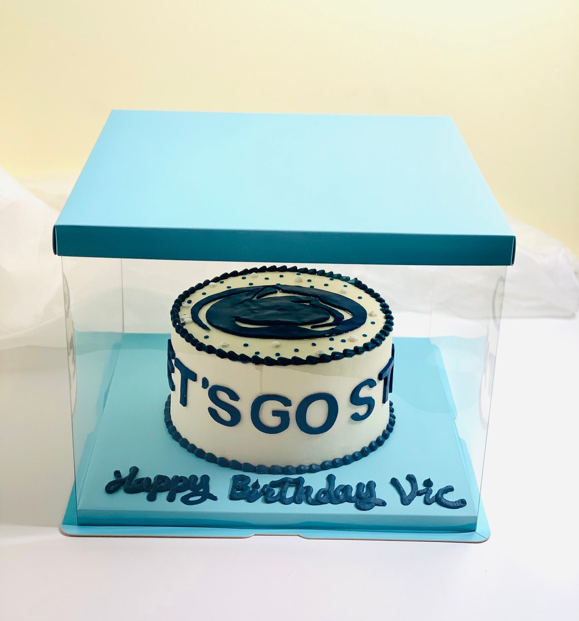 10 Sets Large Clear Cake Boxes 13l X 13w X | Etsy