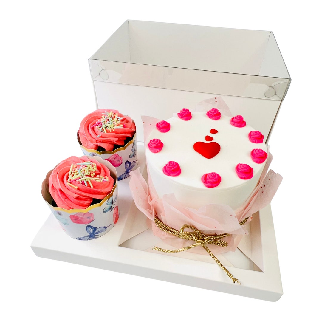 5 Pcs Bento Box Cake and Cupcakes Combo Boxes With Clear Lid and ...