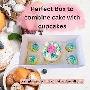 5 Cake and Cupcakes Combo Bento Boxes With Clear Lid and Cupcake Holes ...