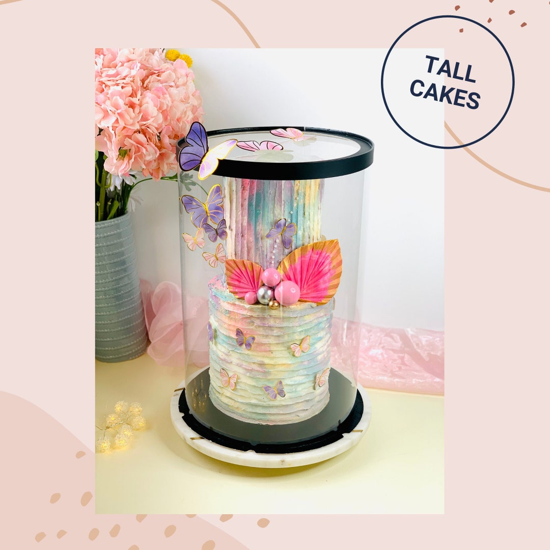Extra Tall Black Round Clear Cake Box and Ribbon - 10" D X 17.5" H ...