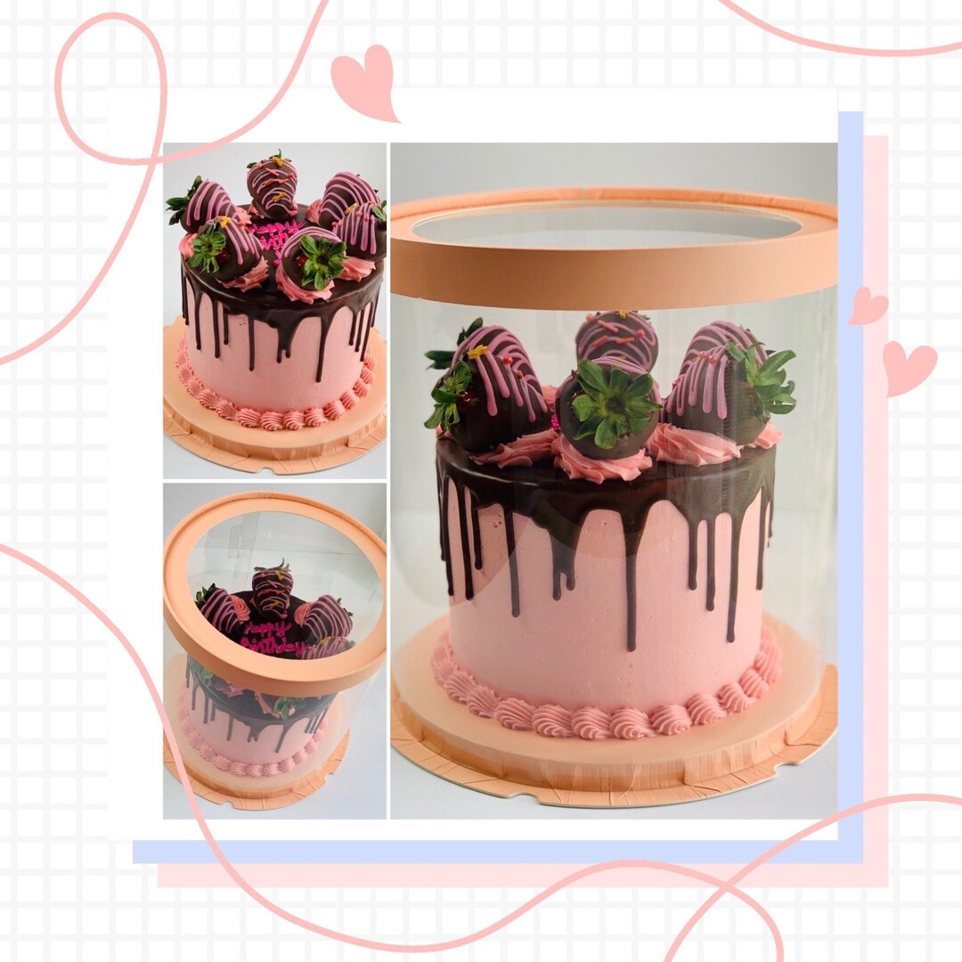 10 Sets Clear Round Cake Boxes - 10" D by 9.5" Tall - Clear Cake Box ...