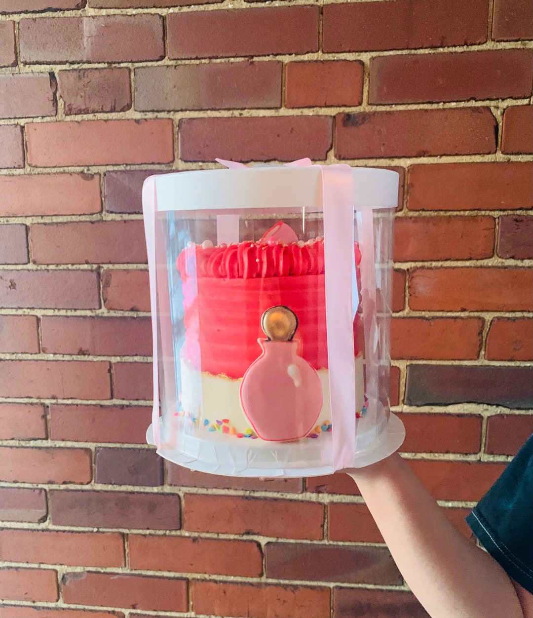 10 Sets Small Clear Cake Boxes 7 D by 7 Tall Transparent Clear Cake Box ...