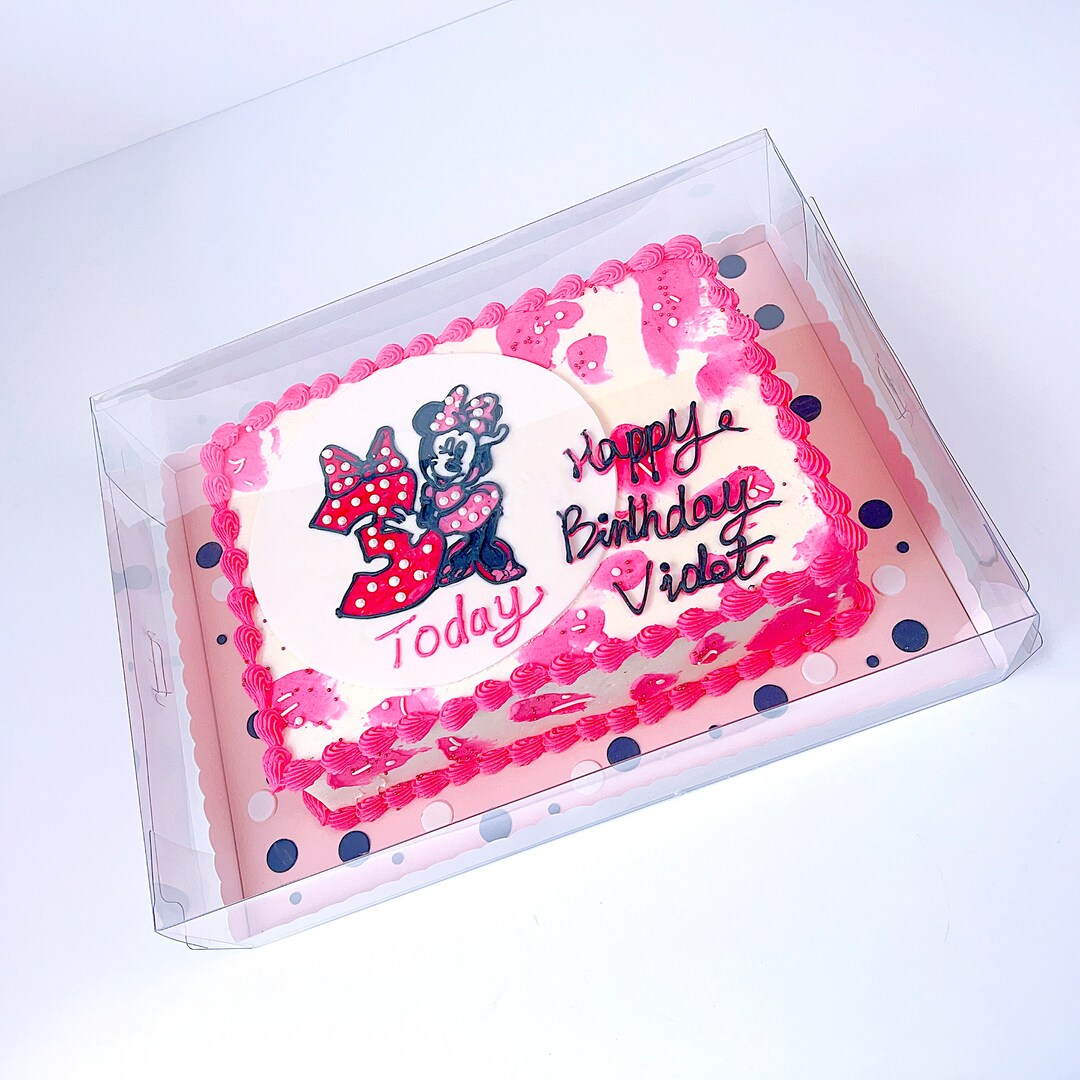 Large Rectangle Clear Cake Box for Alphabet Number Cakes and Sheet ...