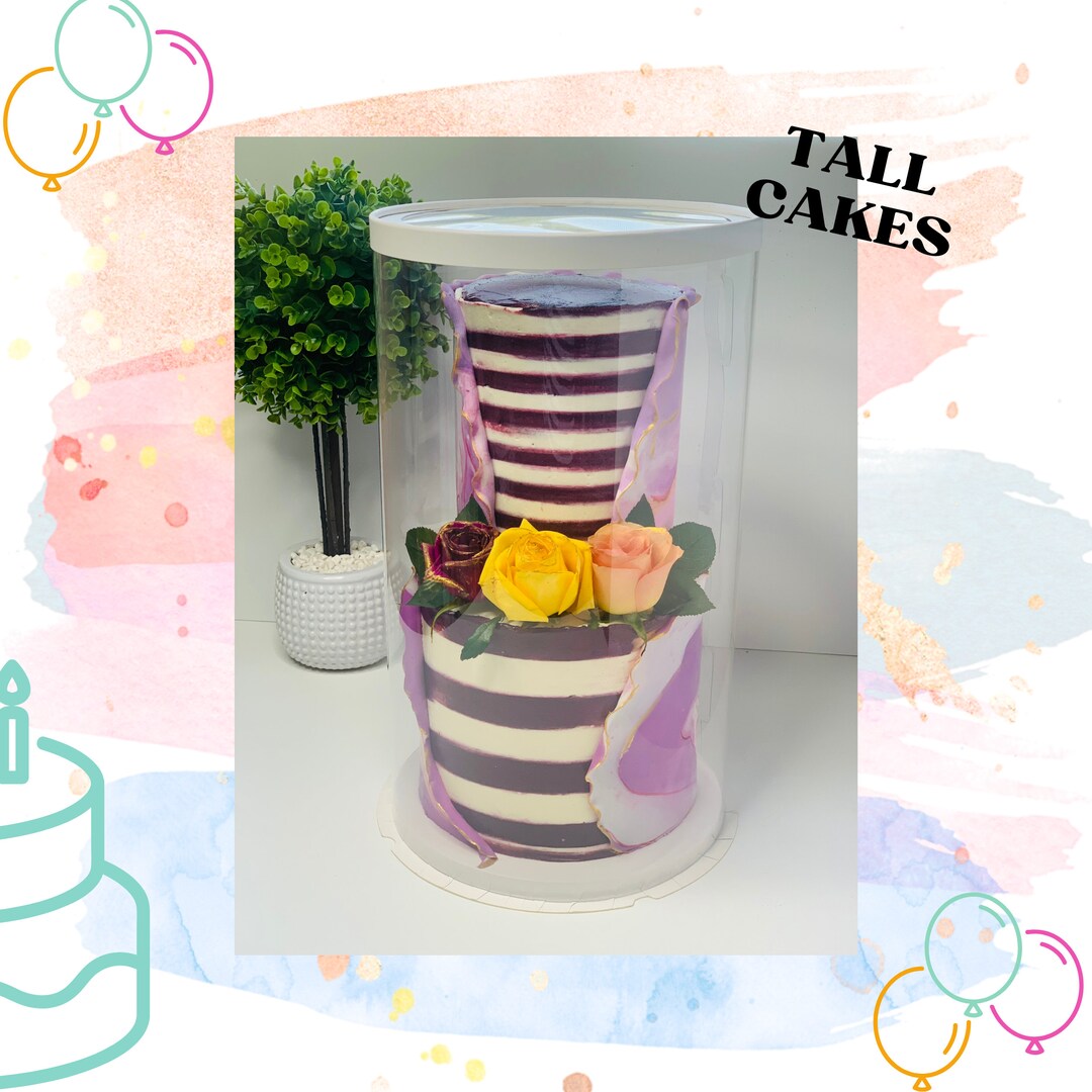 2 Sets Extra Tall White Round Clear Cake Boxes - Clear Cake Box With ...