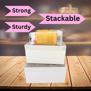 10 Cake and Cupcakes Bento Boxes With Clear Lid and Cupcake Holes, Cake ...