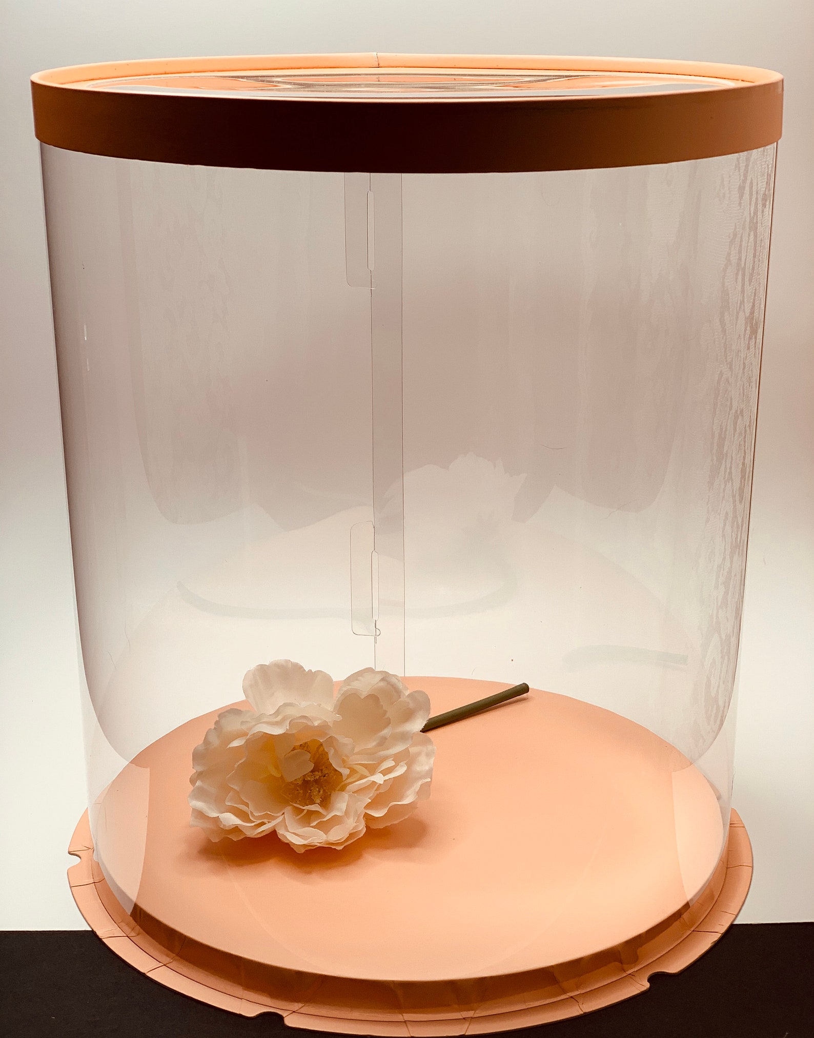 5 Sets Tall Clear Round Cake Boxes 10 D by 12.5 - Etsy