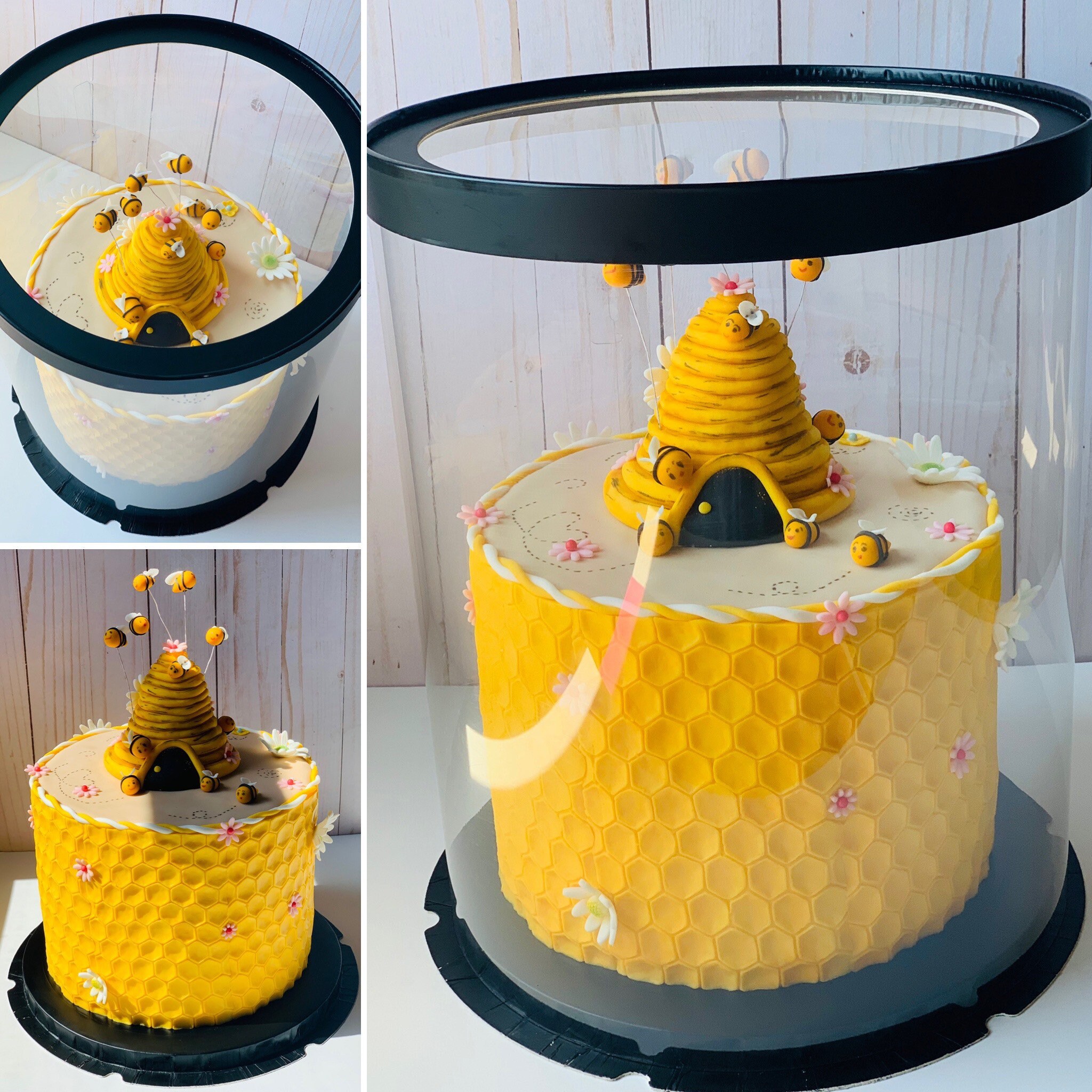 10 Sets 10 Diameter By 12 5 Tall Clear Round Cake Etsy