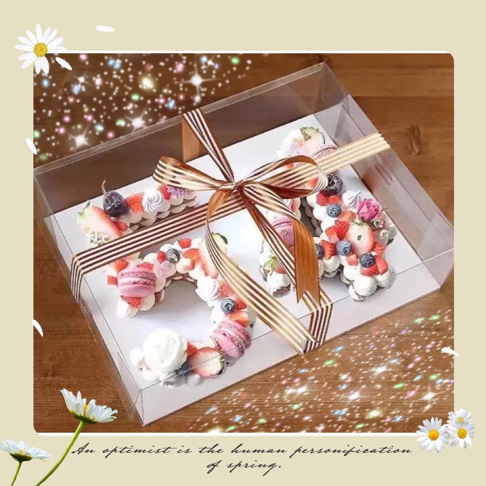 Large Rectangle Clear Cake Box for Alphabet Number Cakes and - Etsy Canada