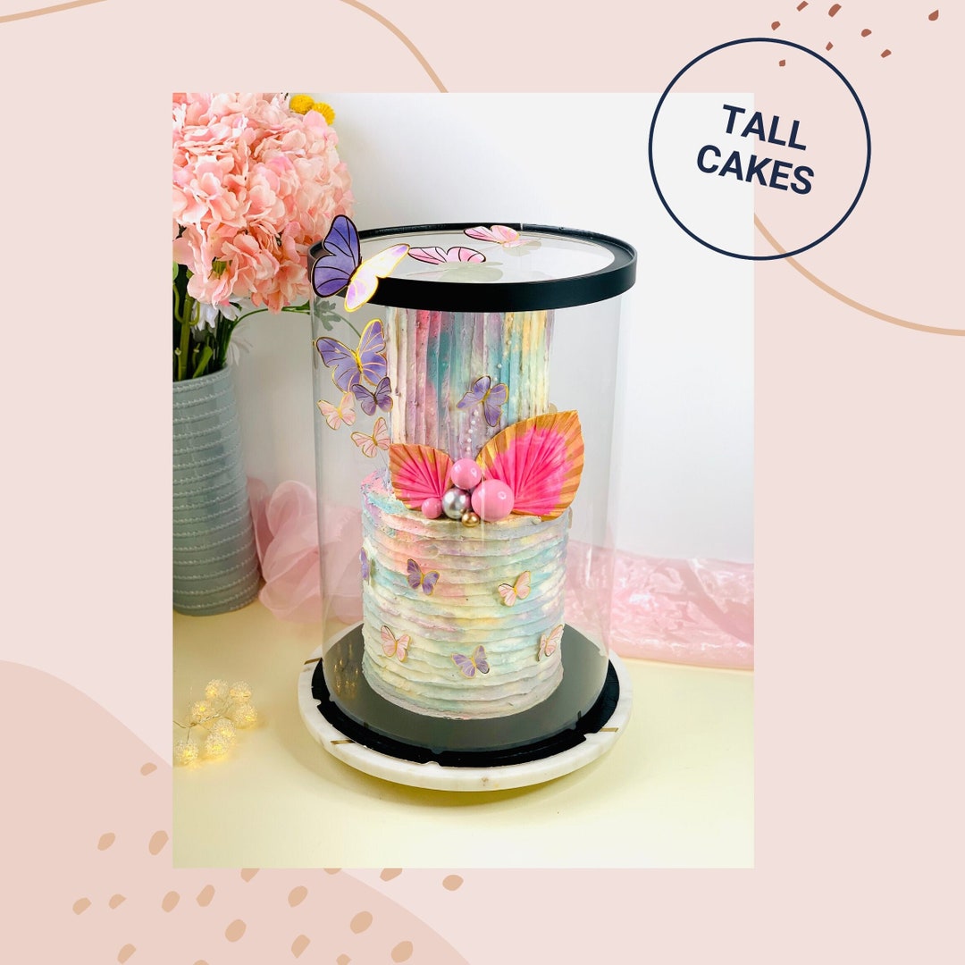 2 Sets Extra Tall Black Round Clear Cake Boxes - Clear Cake Box With ...