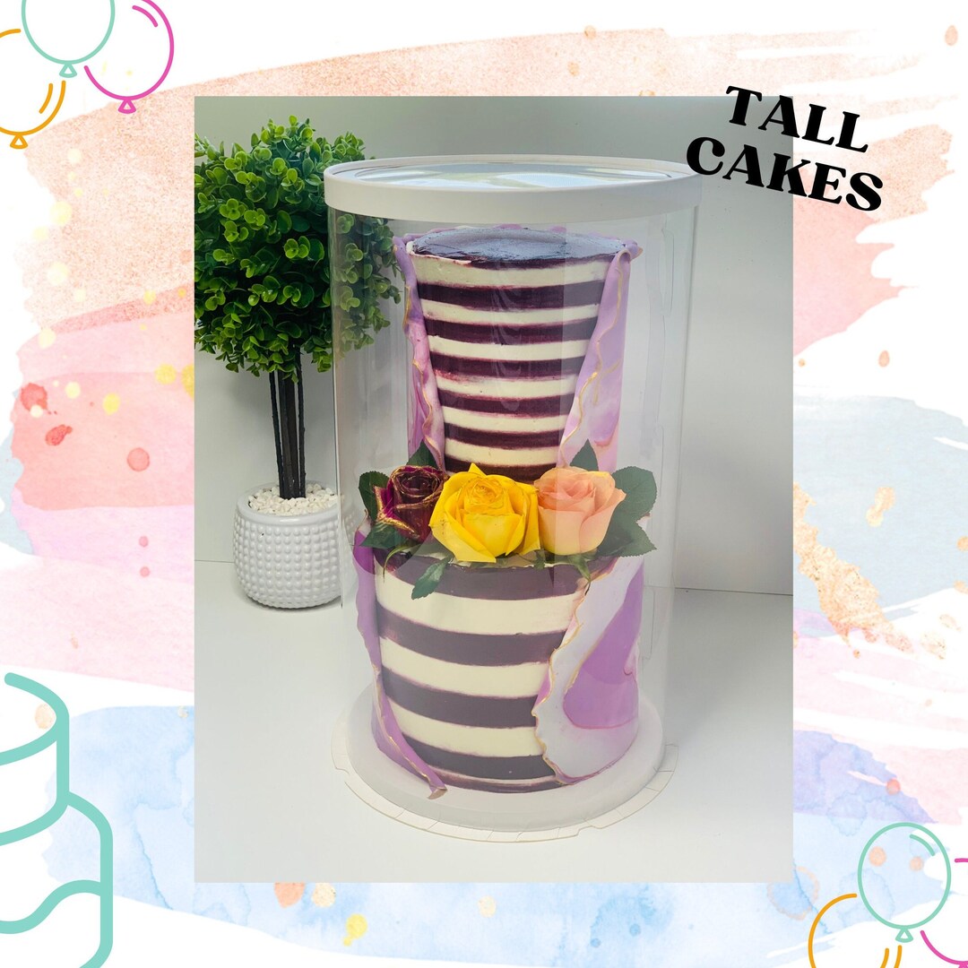 Extra Tall White Round Clear Cake Box and Ribbon - 10" D X 17.5" H ...