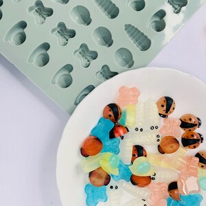 2 Pcs Cute Mini Gummy Silicone Molds, Insects Variety-50 Cavity, Gummy ...