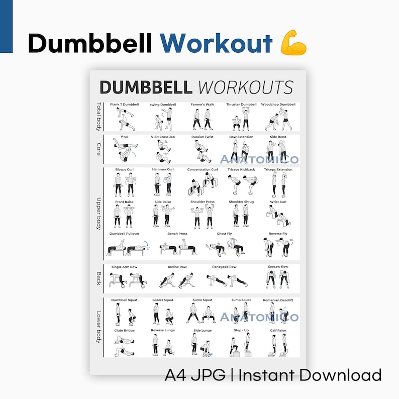 38 Dumbbell Workout Chart A4 JPG – Printable Home Gym Exercise Poster ...