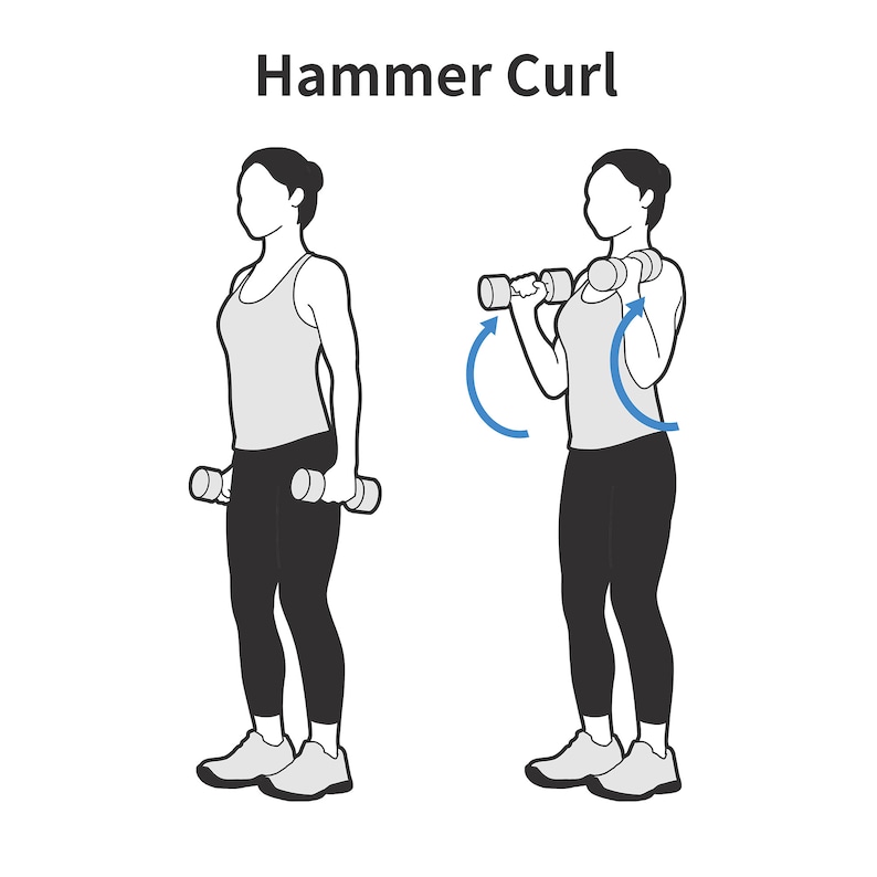 38 Types of Dumbbell Exercise Illustrations and 1 Type of Poster File ...