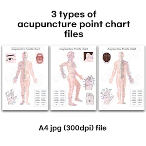 Acupuncture Points Chart Poster Three Types (a4jpg File) - Etsy