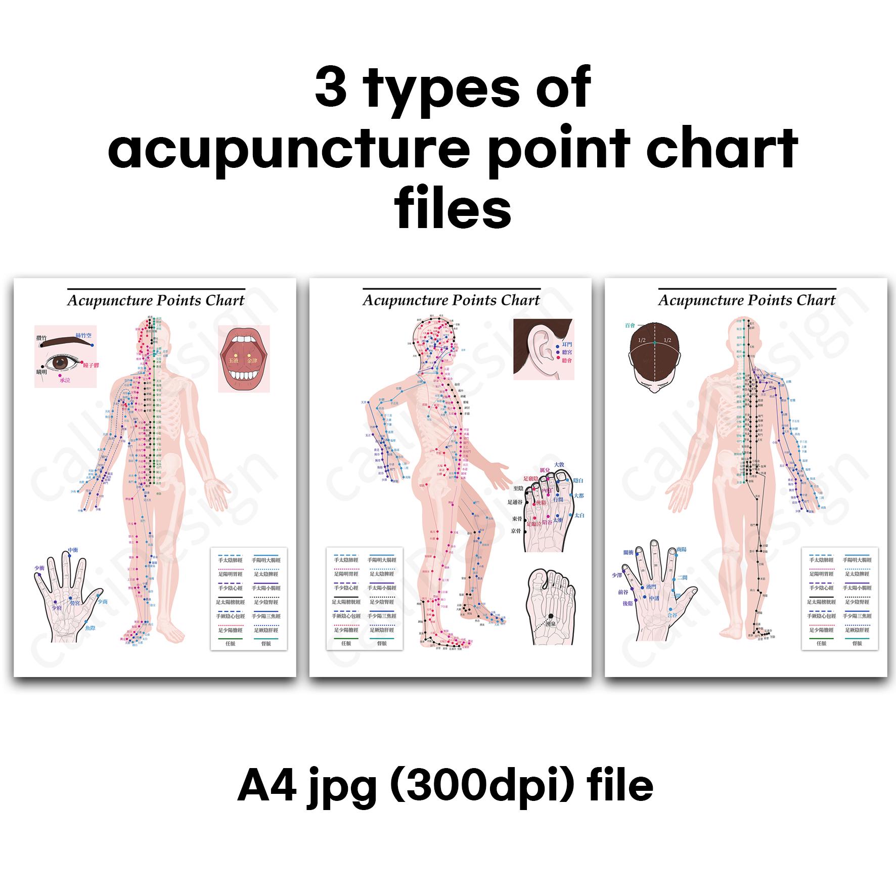 Acupuncture Points Chart Poster Three Types (a4jpg File) - Etsy