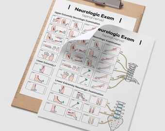 Anatomical Loction Teaching Paper Design A4 Jpg File(300dpi) - Etsy
