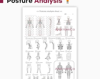 Posture Analysis Chart – Printable A4 JPG | Body Alignment Assessment ...