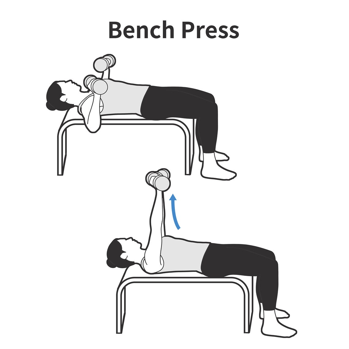 38 Types of Dumbbell Exercise Illustrations and 1 Type of Poster File ...