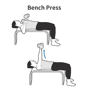 38 Types of Dumbbell Exercise Illustrations and 1 Type of Poster File ...
