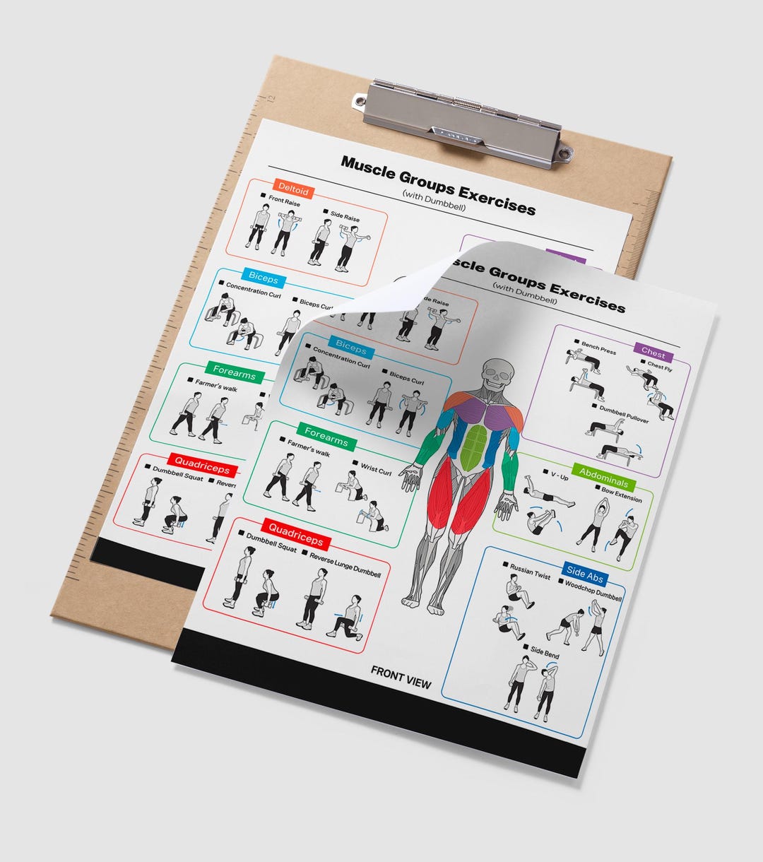 Two Illustration of Exercises Using Dumbbells for Each Muscle Grouptwo ...