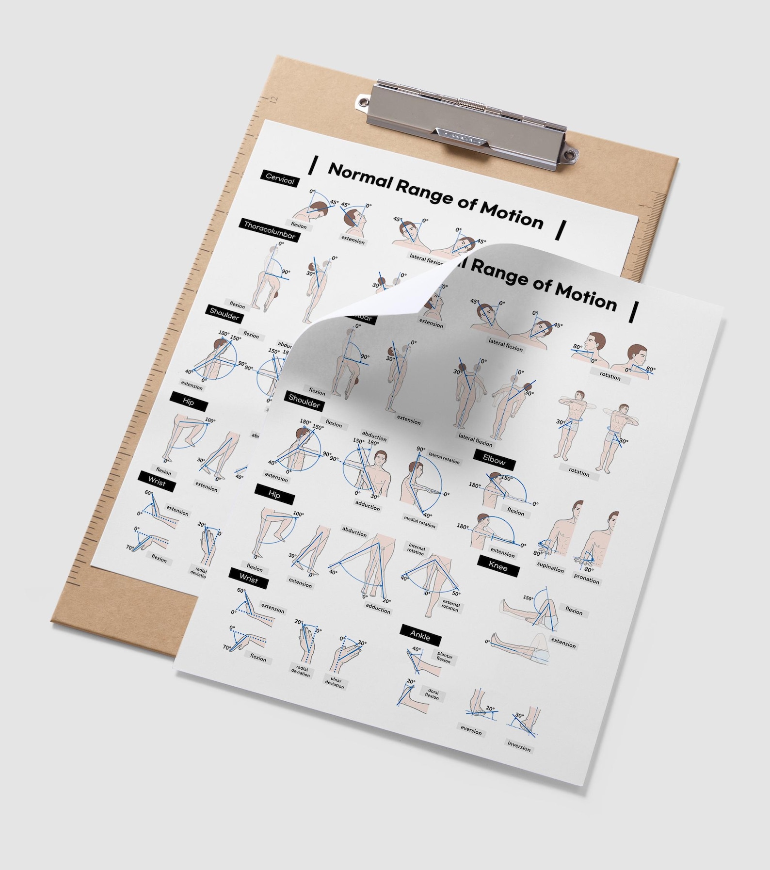 Range of Motion Chart: Printable ROM Reference Poster (A4 JPG) - Etsy