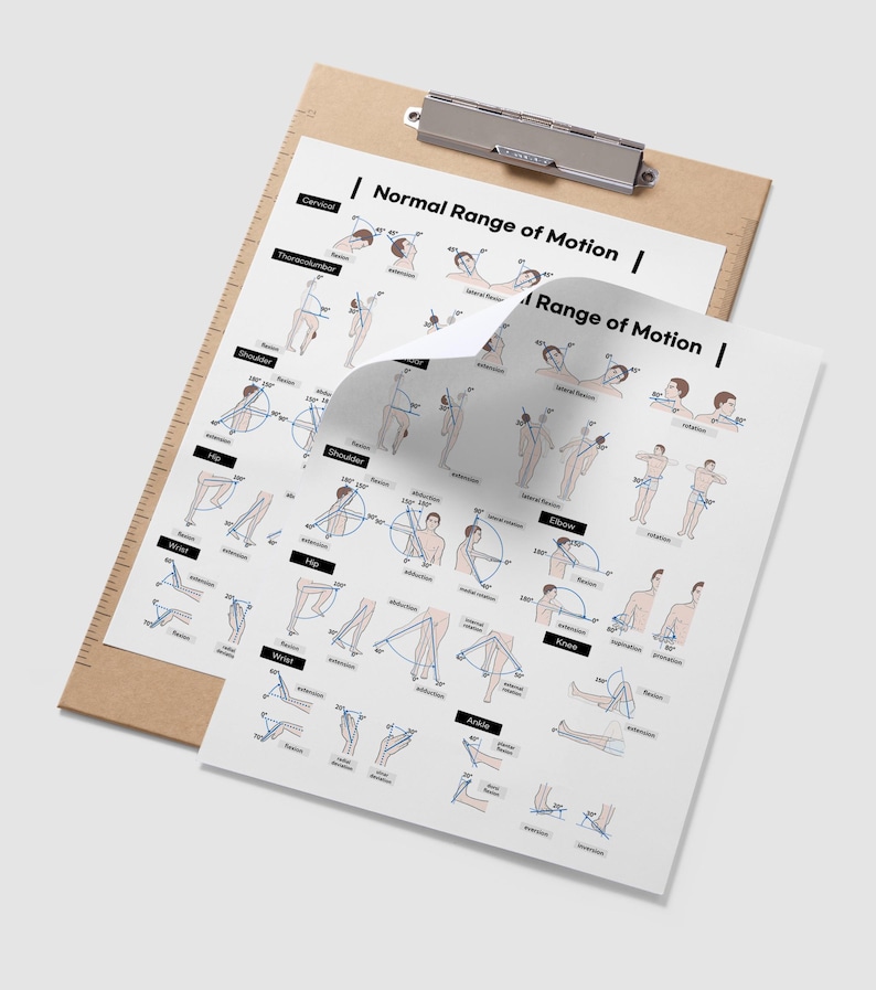 Range of Motion Chart: Printable ROM Reference Poster (A4 JPG) - Etsy UK