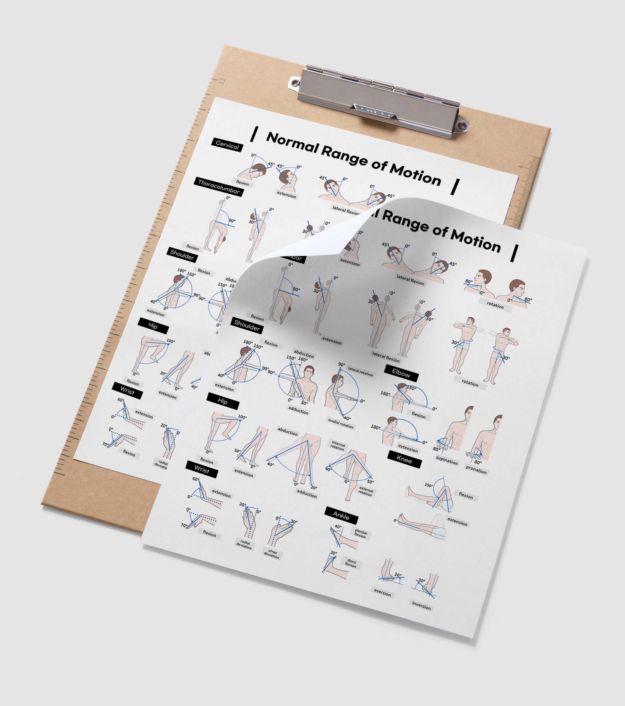Range of Motion Chart: Printable ROM Reference Poster (A4 JPG) - Etsy